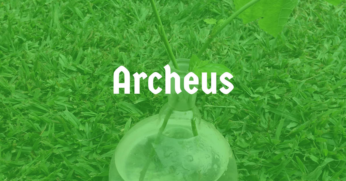 Alquimia: O Archeus da Água - Alquimia Operativa